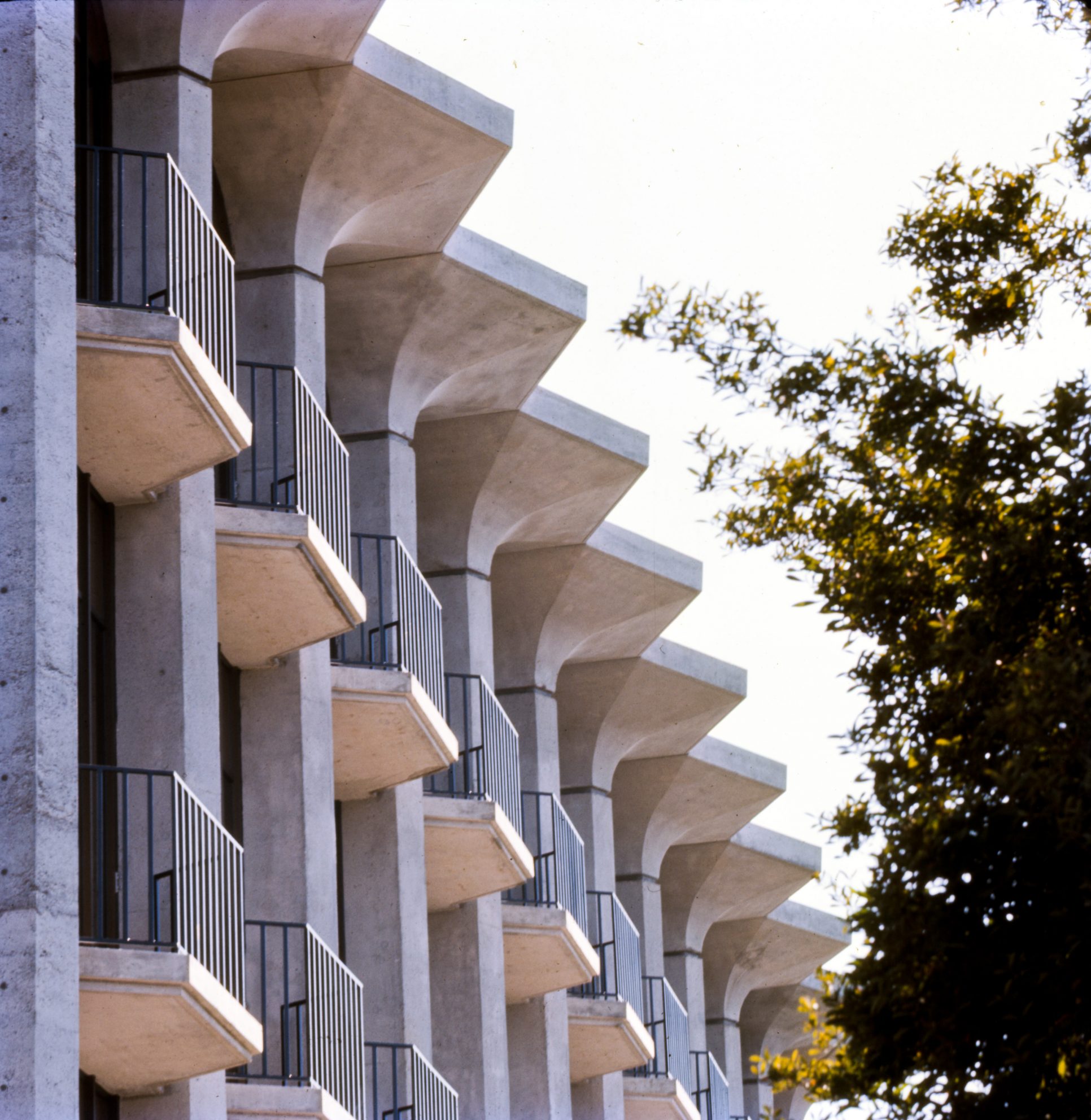 Mira Mesa High School – Mosher Drew