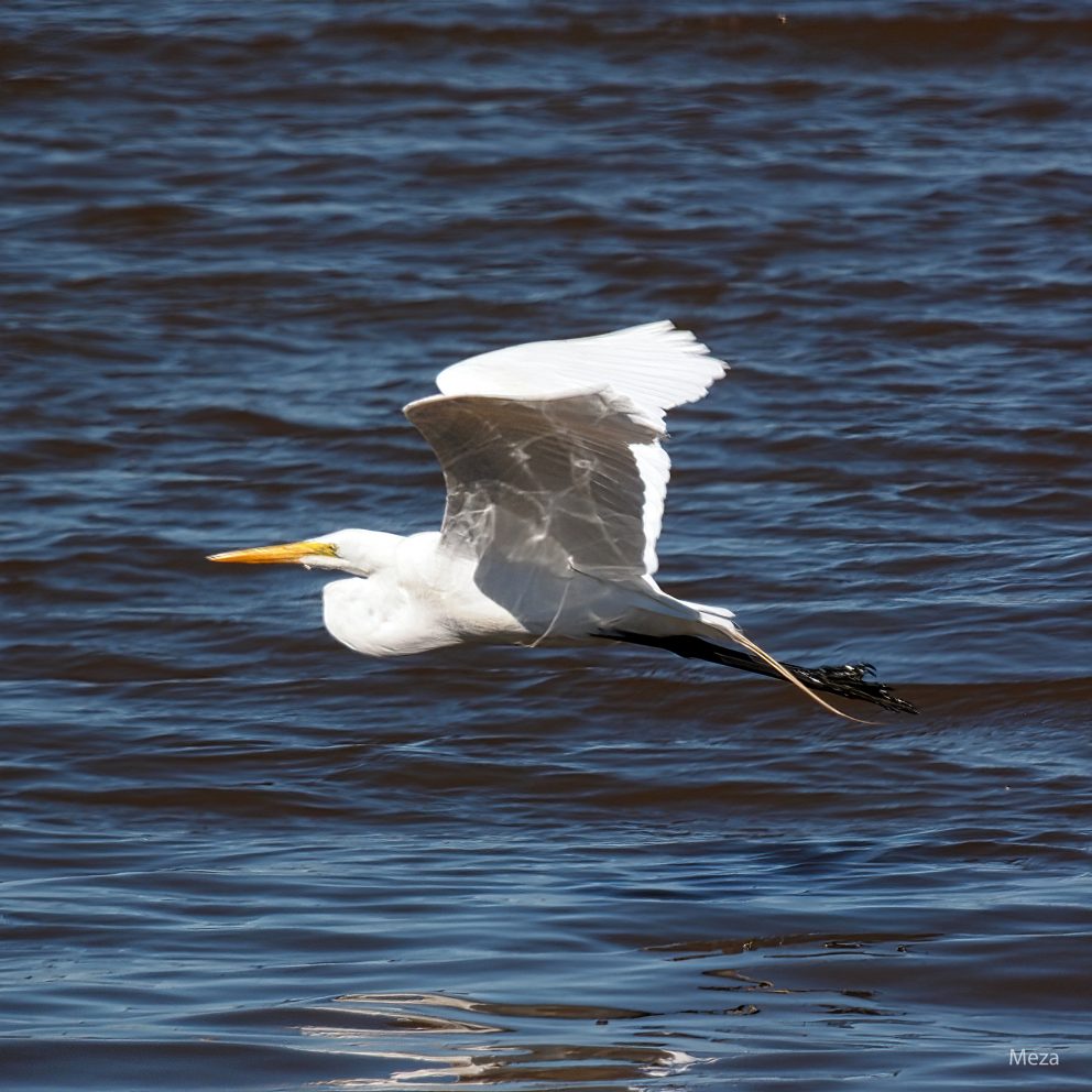 About – Mosher Drew