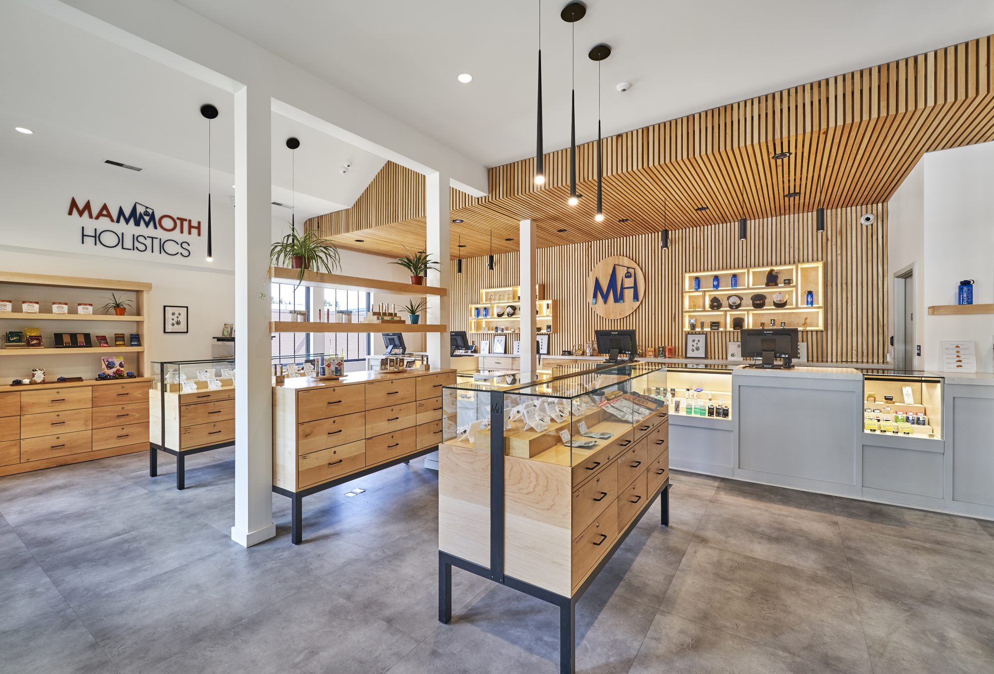 Mammoth Holistics – Mosher Drew